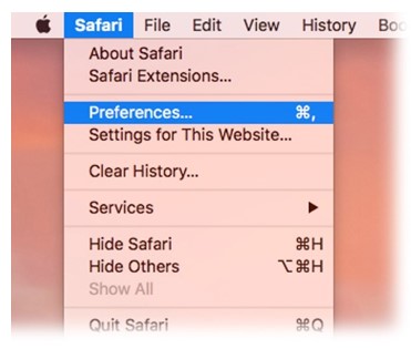 Safari Overview
